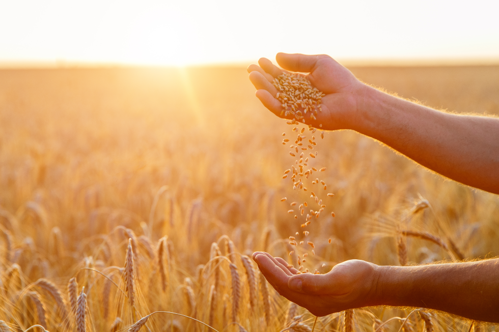 What the 100-fold Return in Jesus’ Teaching Really Means | Shreve ...